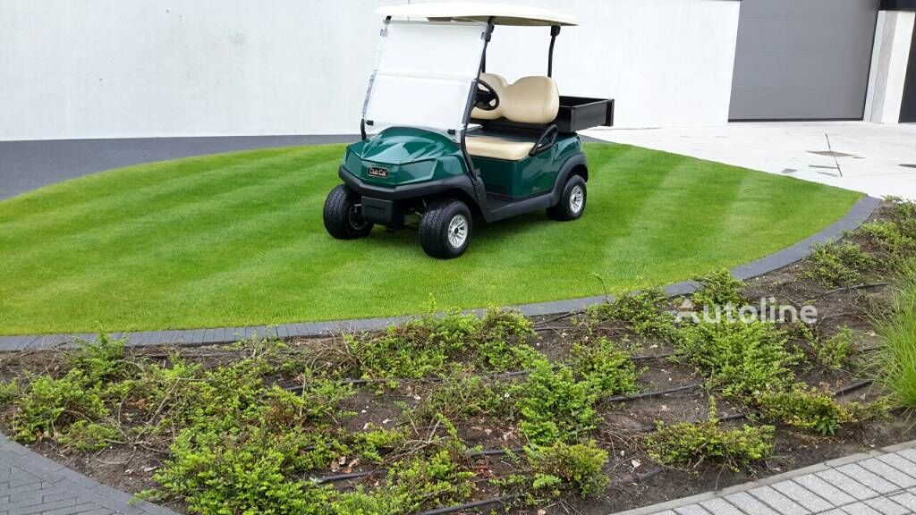 Club Car tempo 2020 whit cargo box new battery pack golf cart for sale ...