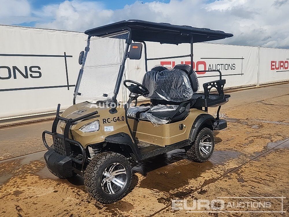 Buy Raccoon RC-G4.0 golf cart by auction in the United Kingdom Dromore ...