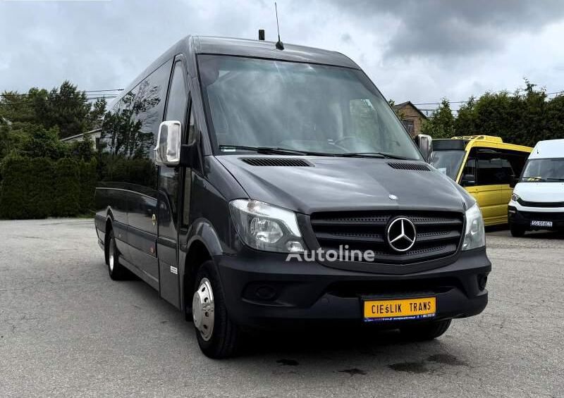 Mercedes-Benz Sprinter 519 CDI passenger van for sale from Poland ...